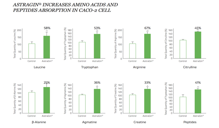 What Is Astragin and How Does It Help With Nutrient Absorption - Form - US