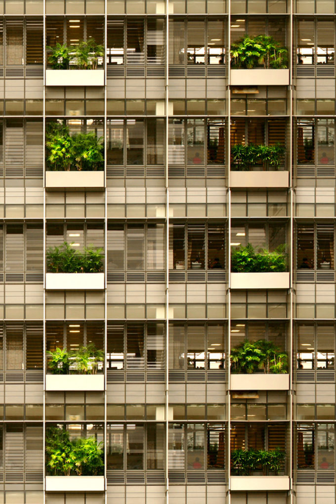 Inside the Hospital Where Greenery is the Best Medicine - Form