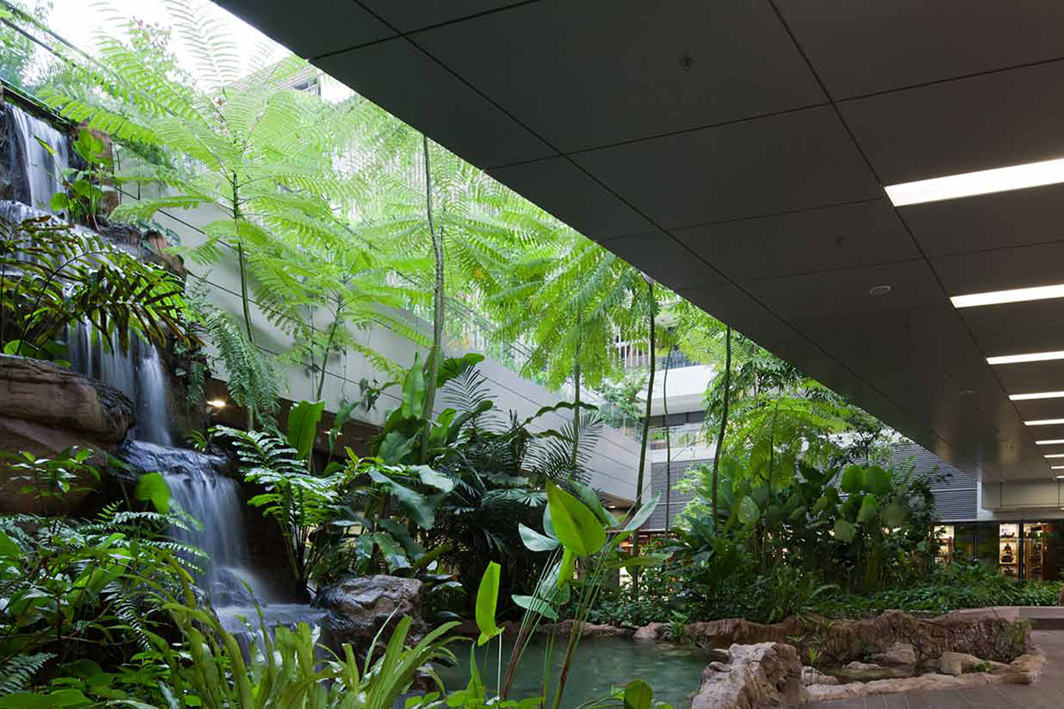Inside the Hospital Where Greenery is the Best Medicine - Form